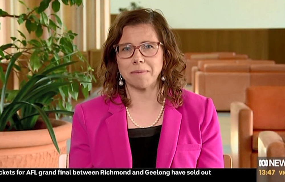 Afternoon Briefing - SA cluster, culture - Amanda Rishworth MP